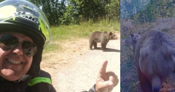 Vidio.bokep indonesia have met with her several times and